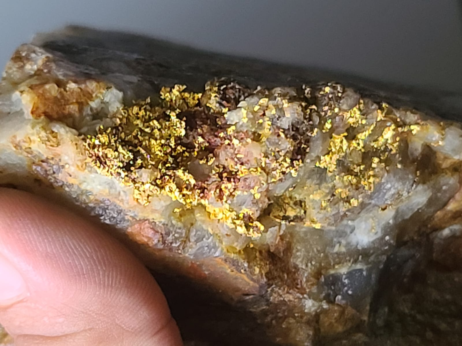 Sranan Gold samples up to 26.7 grams per tonne gold in the Poeketi Pit area of the Tapanahony ...